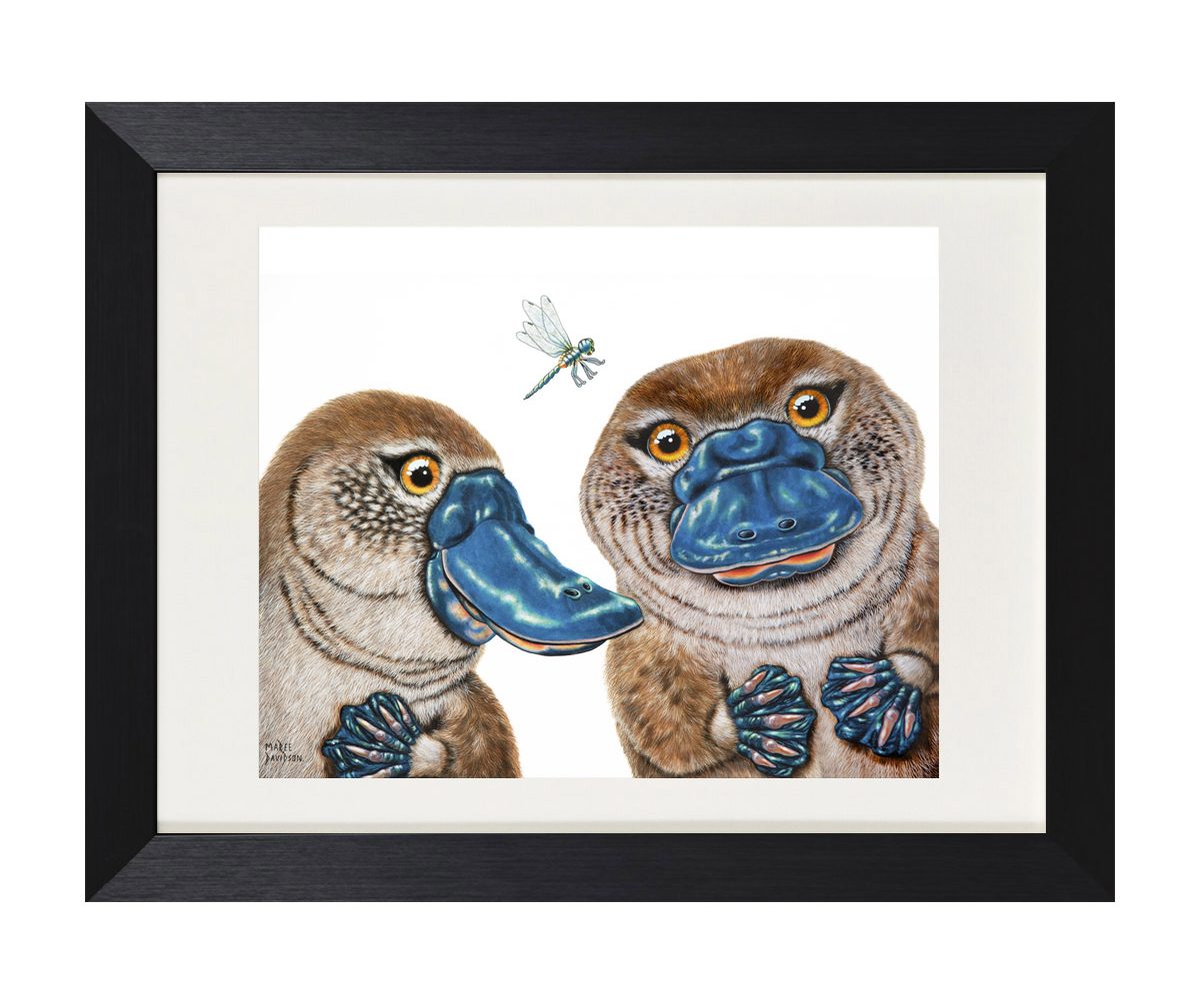 Becky and Bruce the Platypuses - Print