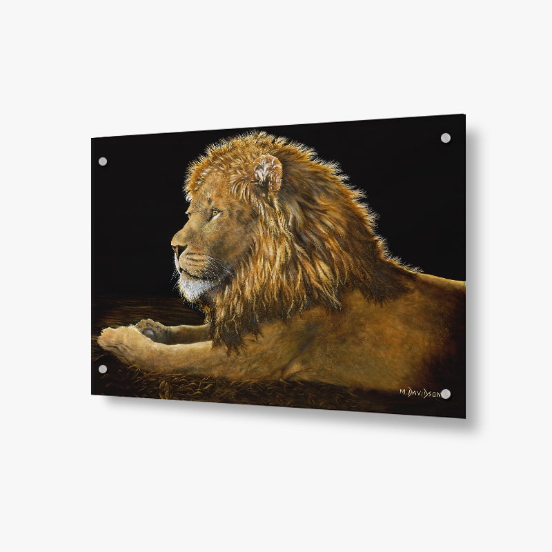 REFLECTIONS - LION PAINTING