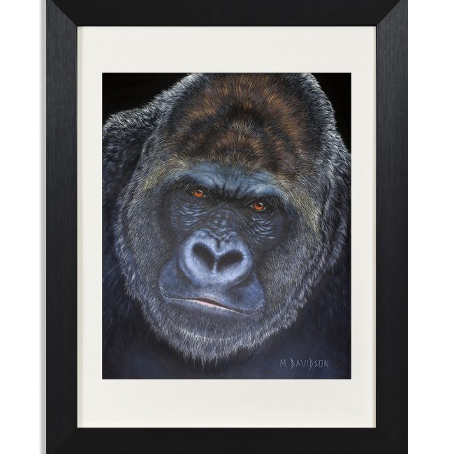 Wildlife Collection Archives - Maree Davidson Art